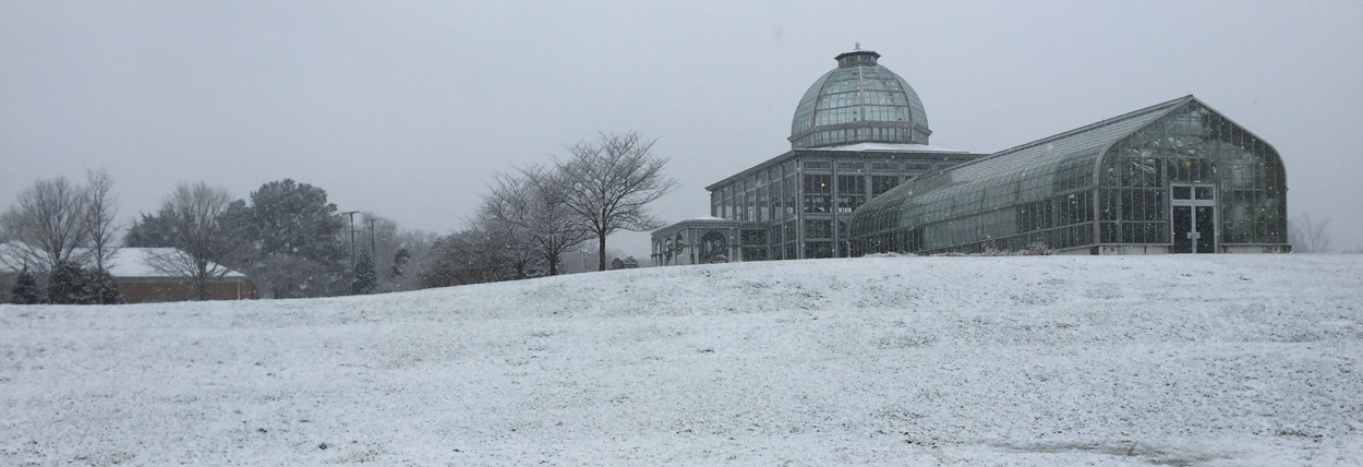 Lisa Phipps garden in snow jan 17 1250 x 400 - Lewis Ginter Botanical ...