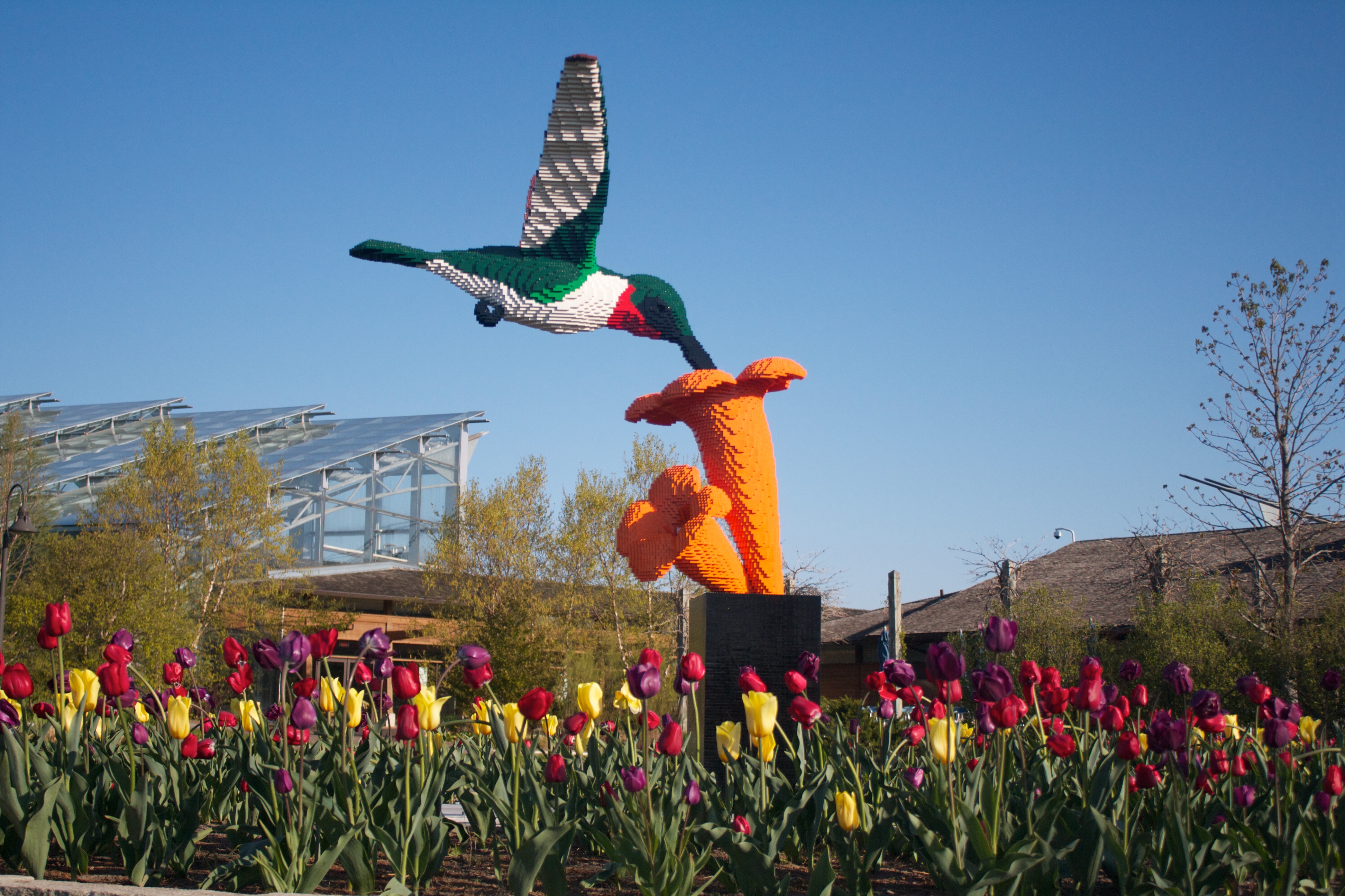 Hummingbird Nature Connects LEGO - Lewis Ginter Botanical Garden