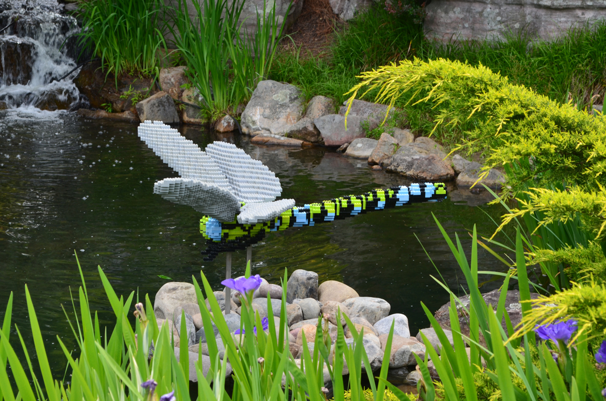 LEGO dragonfly 1250 - Lewis Ginter Botanical Garden