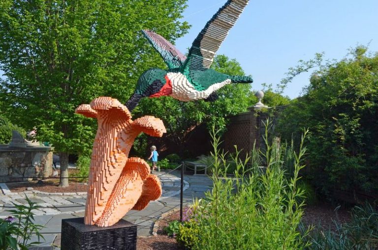 Full STEAM Ahead: Garden Art! - Lewis Ginter Botanical Garden