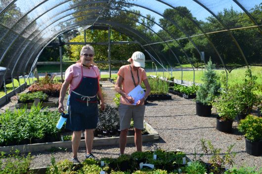 Fall PlantFest Features Natives - Lewis Ginter Botanical Garden
