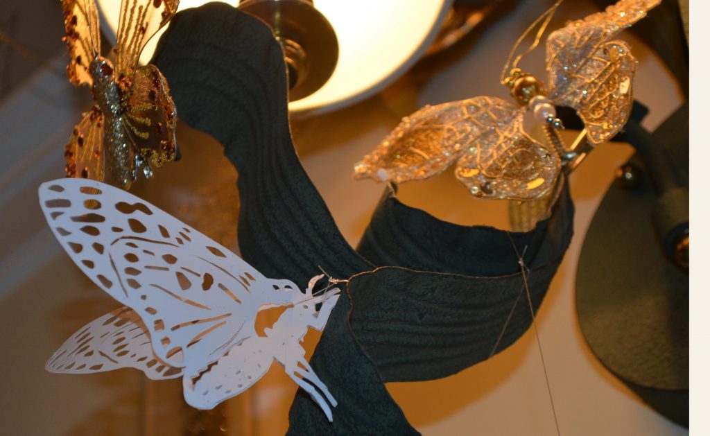 paper-moth-profile-cropped - Lewis Ginter Botanical Garden