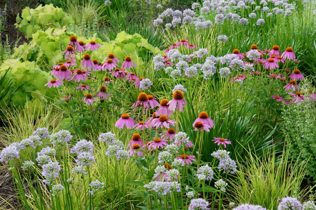 Go Wild with Nature -- Suggestions From Top Landscaping Experts