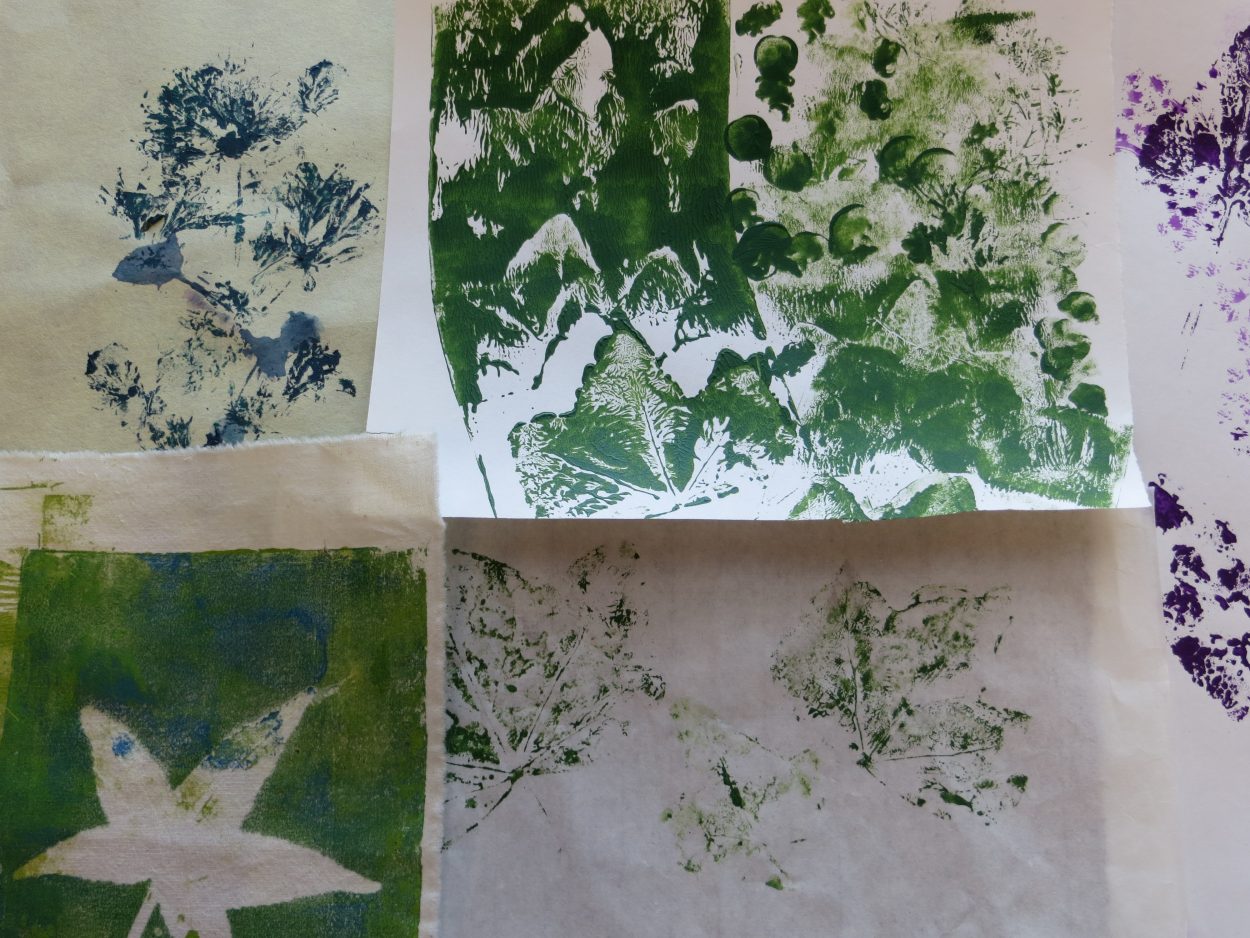 printmaking-ii - Lewis Ginter Botanical Garden