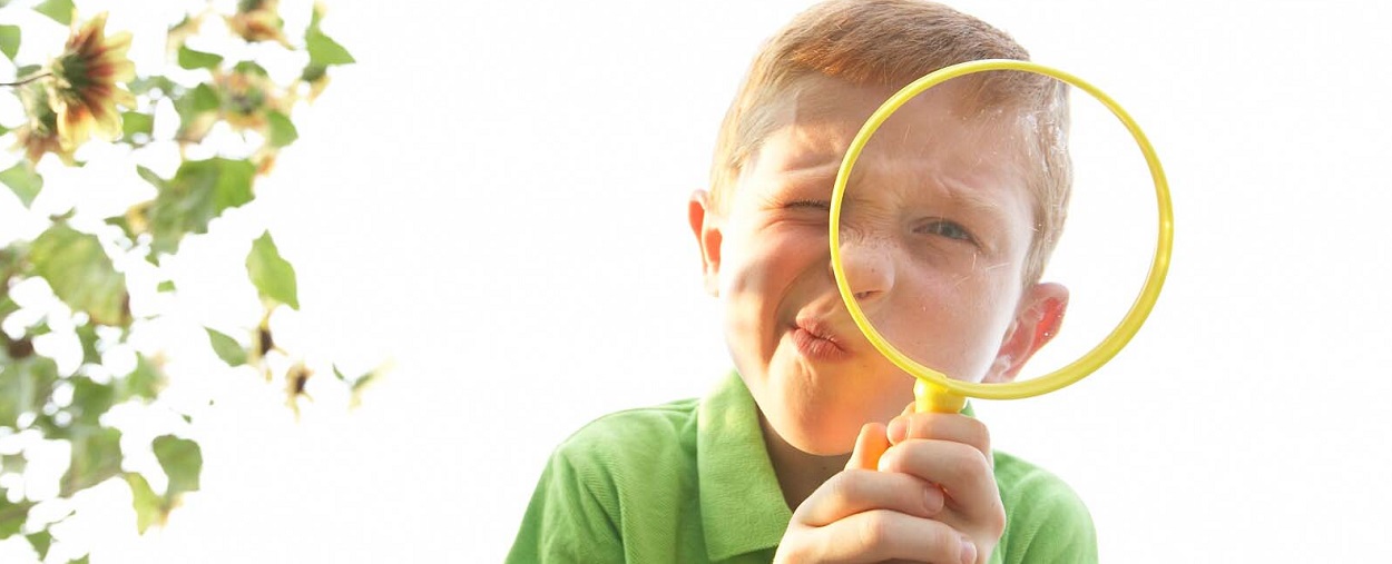 Green Adventure Summer Camp: Nature Detectives | Ages 5 - 6 | July 10 ...