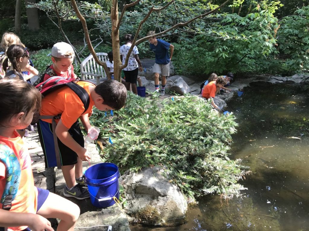 campers looking in buckets - Lewis Ginter Botanical Garden