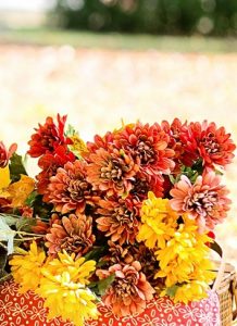 Design from Nature: Fall - Lewis Ginter Botanical Garden