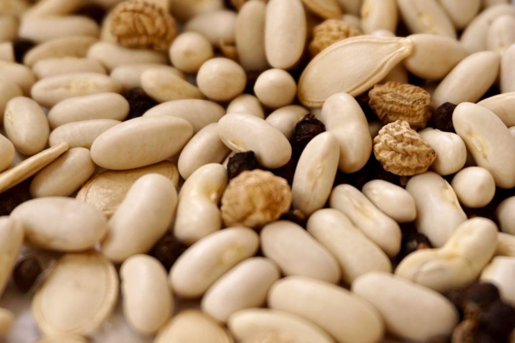 Seeds Learn About Unique Varieties We Will Be Growing This Year Seeds Learn About Unique Varieties We Will Be Growing This Year