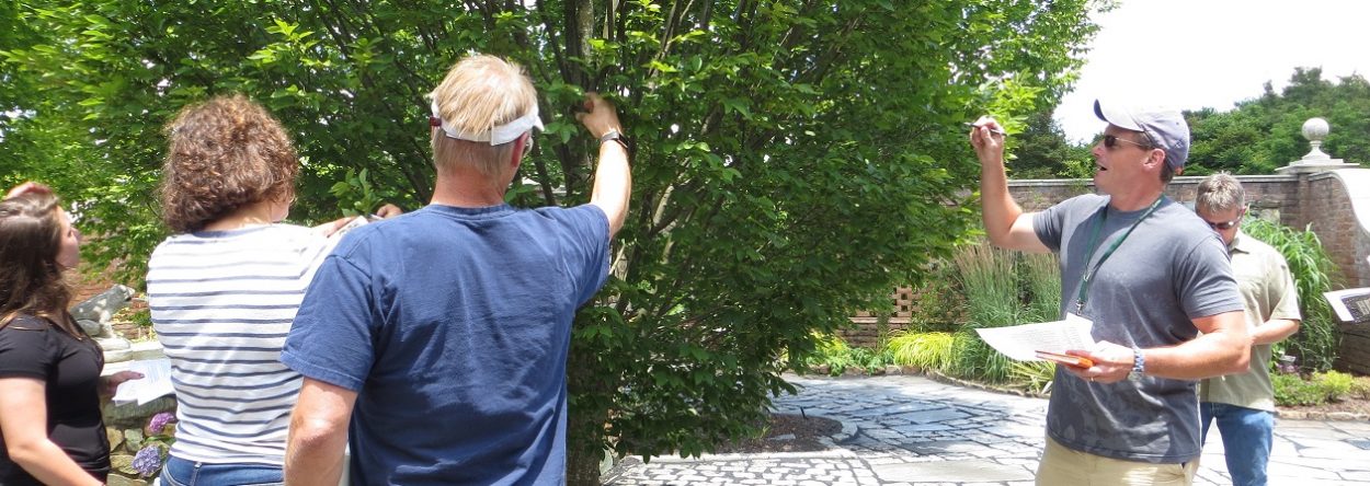 Botany Classes - Lewis Ginter Botanical Garden