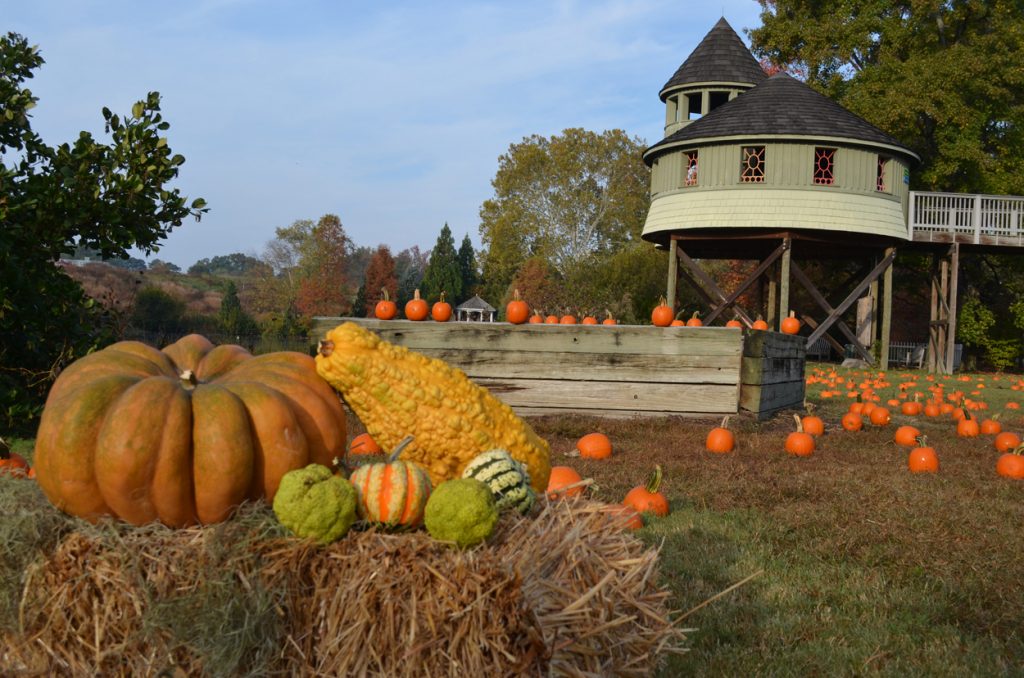 HarvestFest Fall Festival at Lewis Ginter Botanical Garden