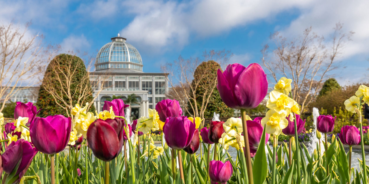 Thrive: A Campaign for Communities