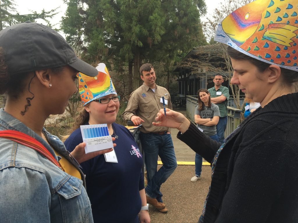Natural Connections: Interdisciplinary Strategies for Teaching and Learning