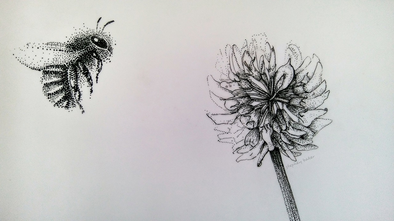 20191104_113615_HDR Pen and Ink 16-9 - Lewis Ginter Botanical Garden