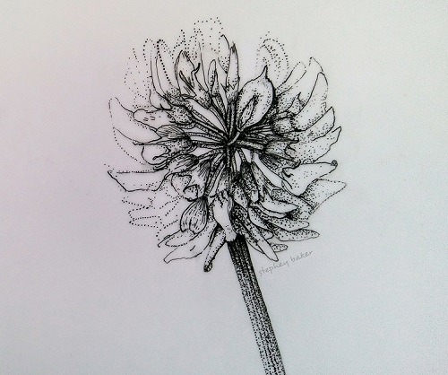 20191104_113615_HDR feature - Lewis Ginter Botanical Garden