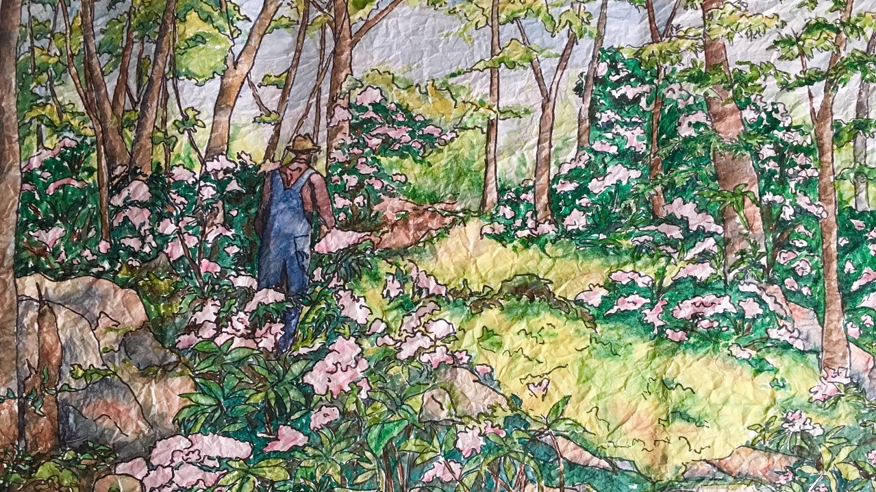 Ink and Watercolor on Japanese Masa Paper - Lewis Ginter Botanical Garden