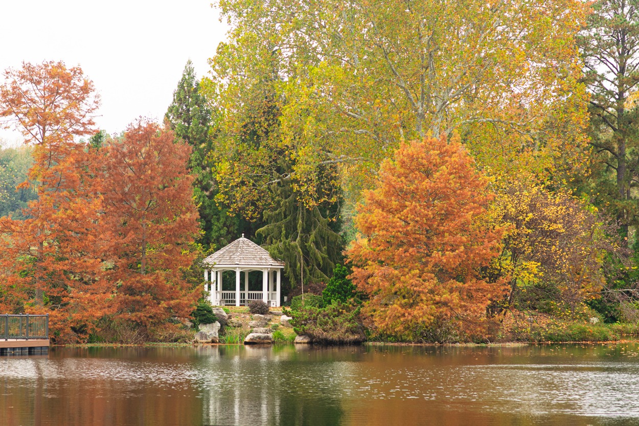 1250 fall - Lewis Ginter Botanical Garden