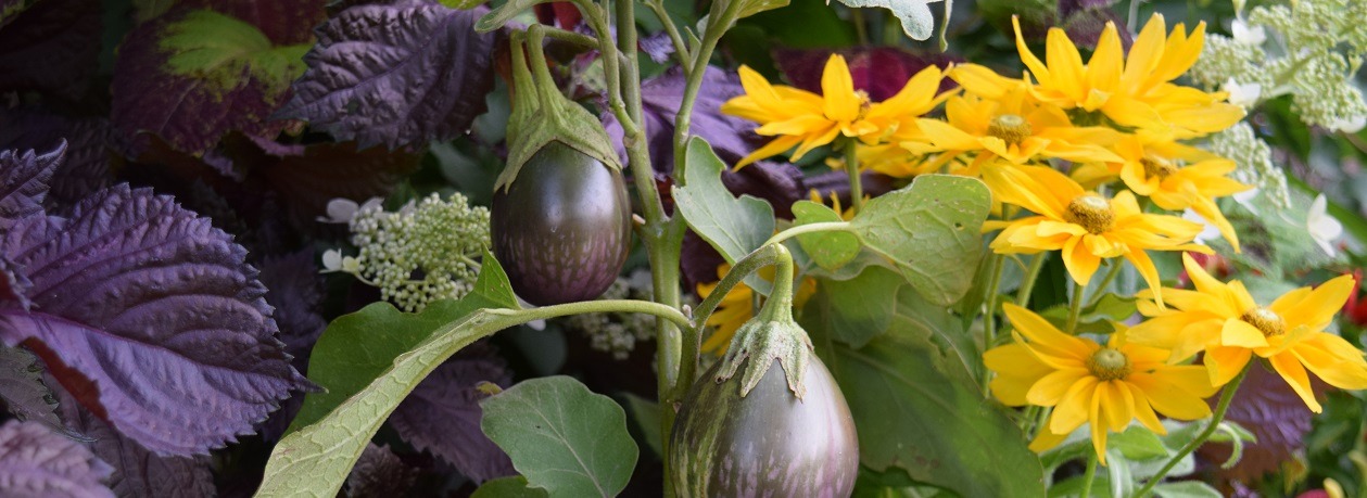 Brie Arthur Foodscape cover banner - Lewis Ginter Botanical Garden