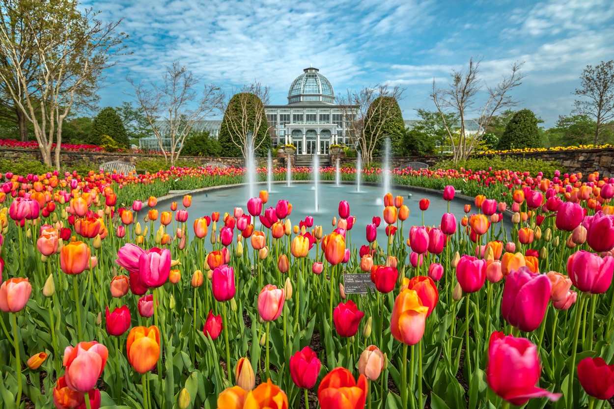 Museums for All - Discounted Admission at Lewis Ginter Botanical Garden