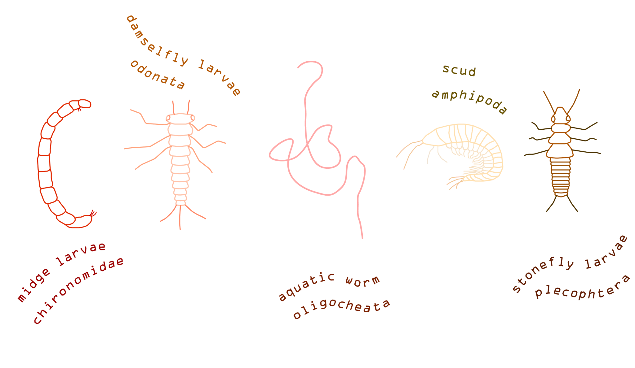 Saving the Glen Stream - Lewis Ginter Botanical Garden