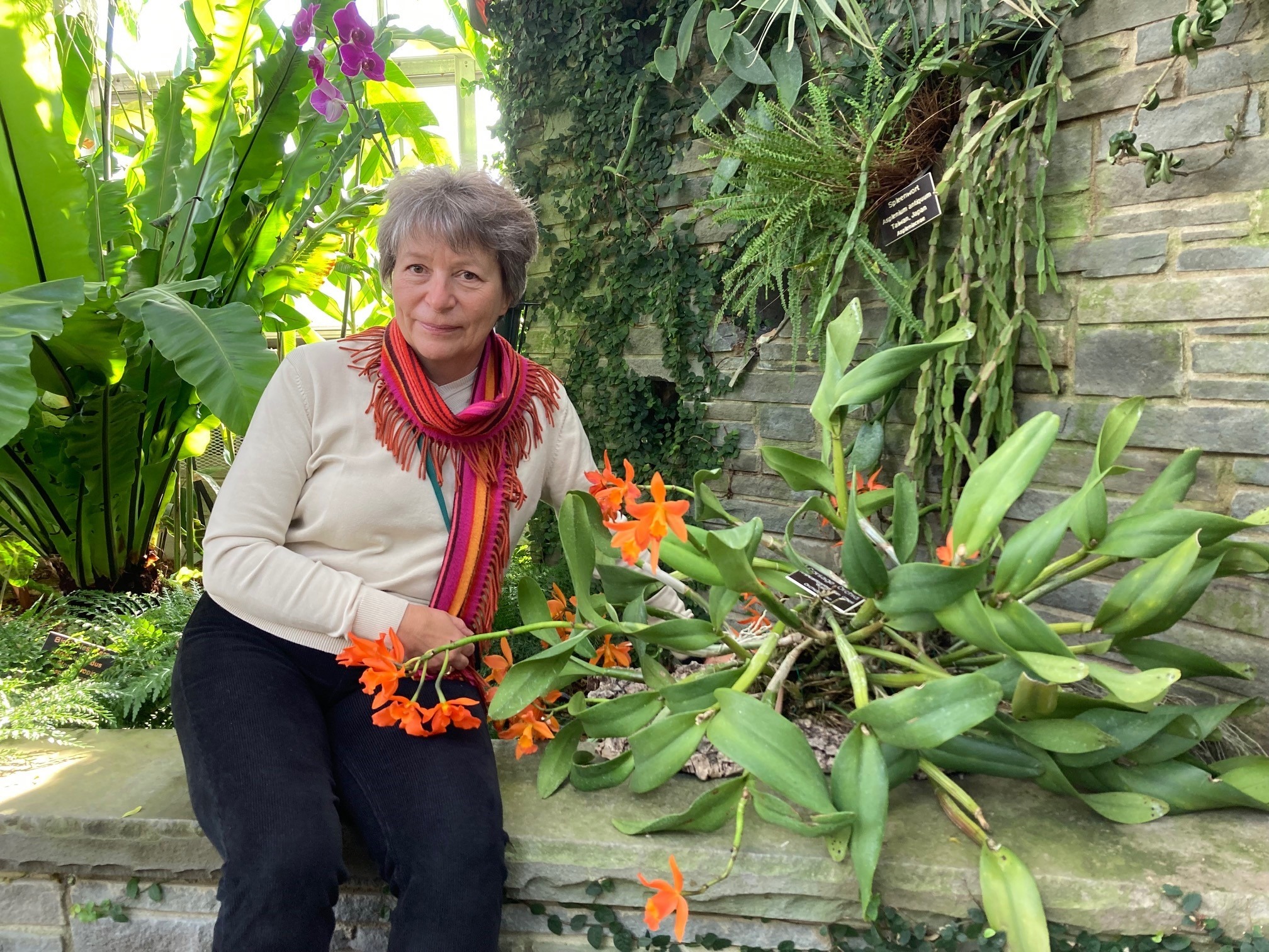 irina - Lewis Ginter Botanical Garden