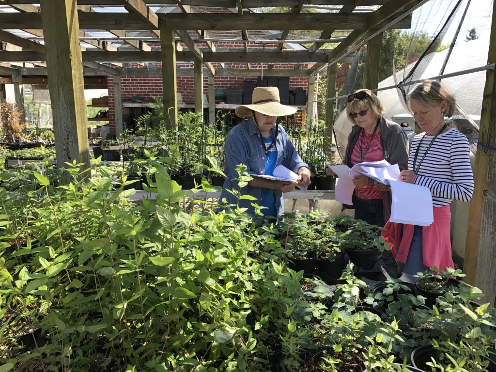 Volunteers are Vital at Spring Plantfest