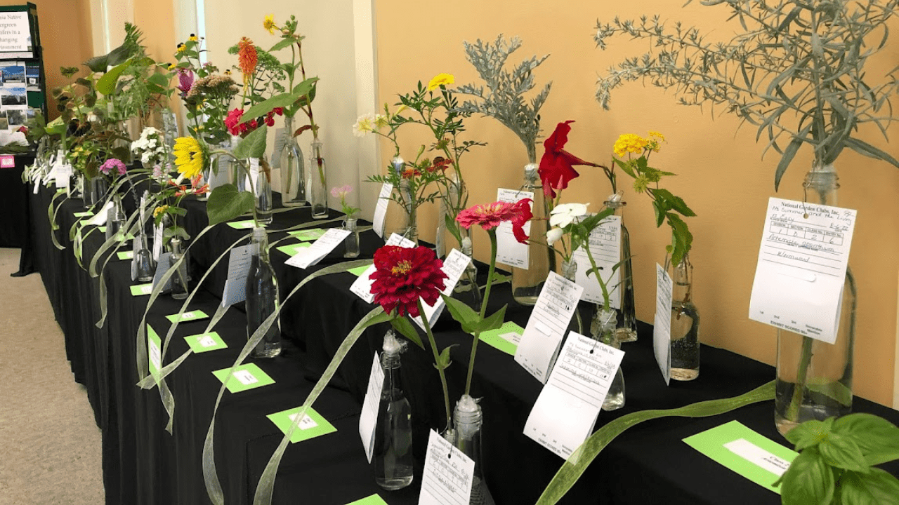 Richmond Designers' Guild - Lewis Ginter Botanical Garden