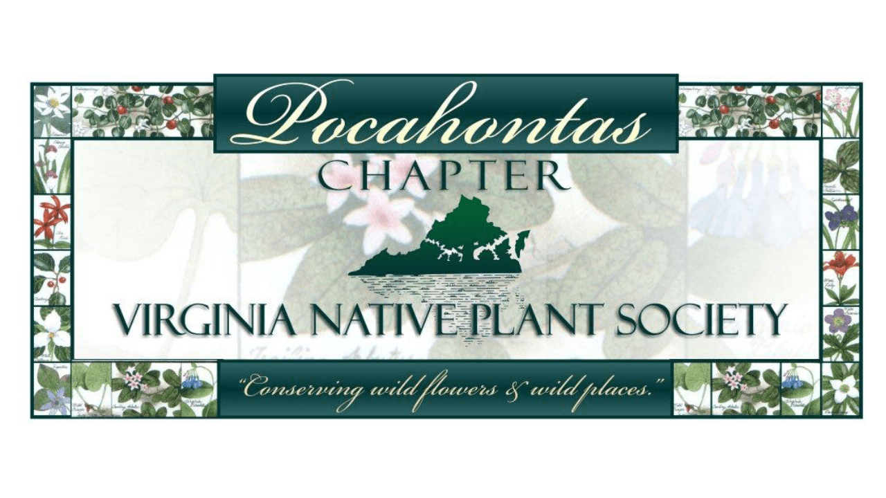 Virginia Native Plant Society, Pocahontas Chapter - Lewis Ginter ...