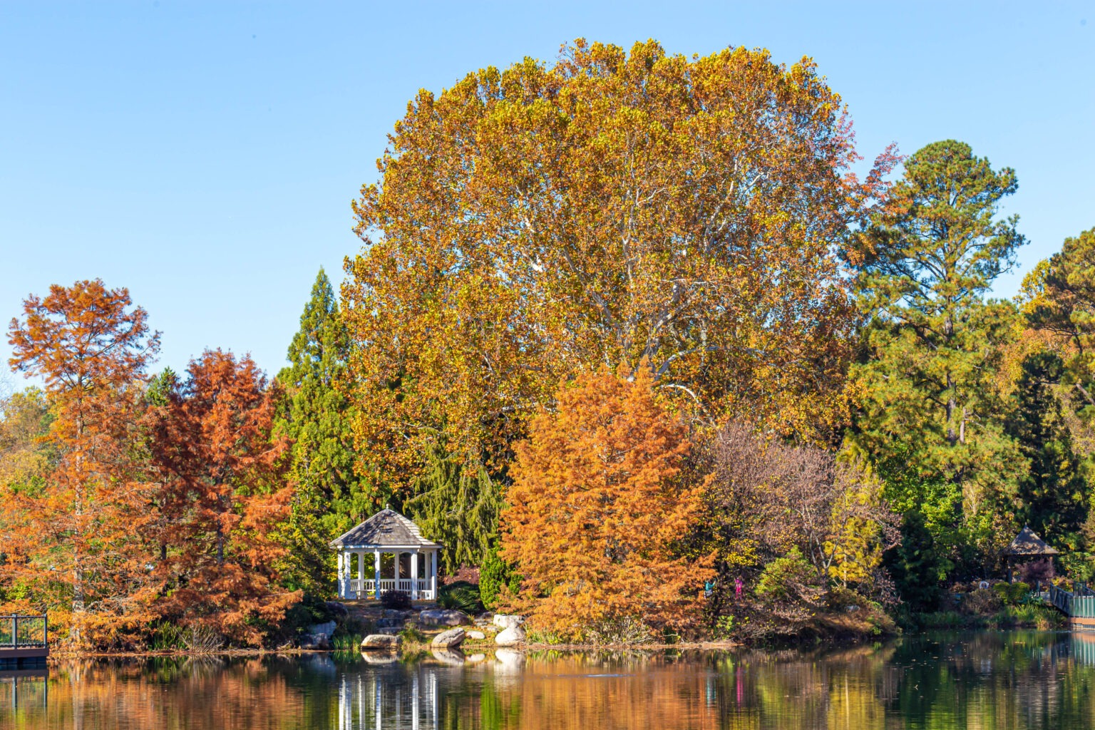 The Top 40 Things to Do at the Garden - Lewis Ginter Botanical Garden