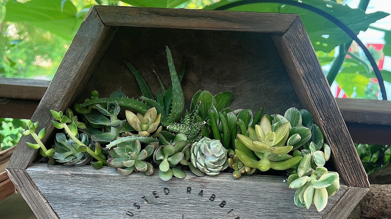 Plant Play: Make and Take Workshops - Lewis Ginter Botanical Garden